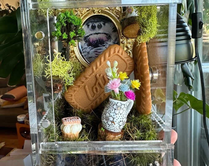 Spider Stuff Bioactive Enclosure Large 4”x 4” X 8”, Spider Enclosure ...