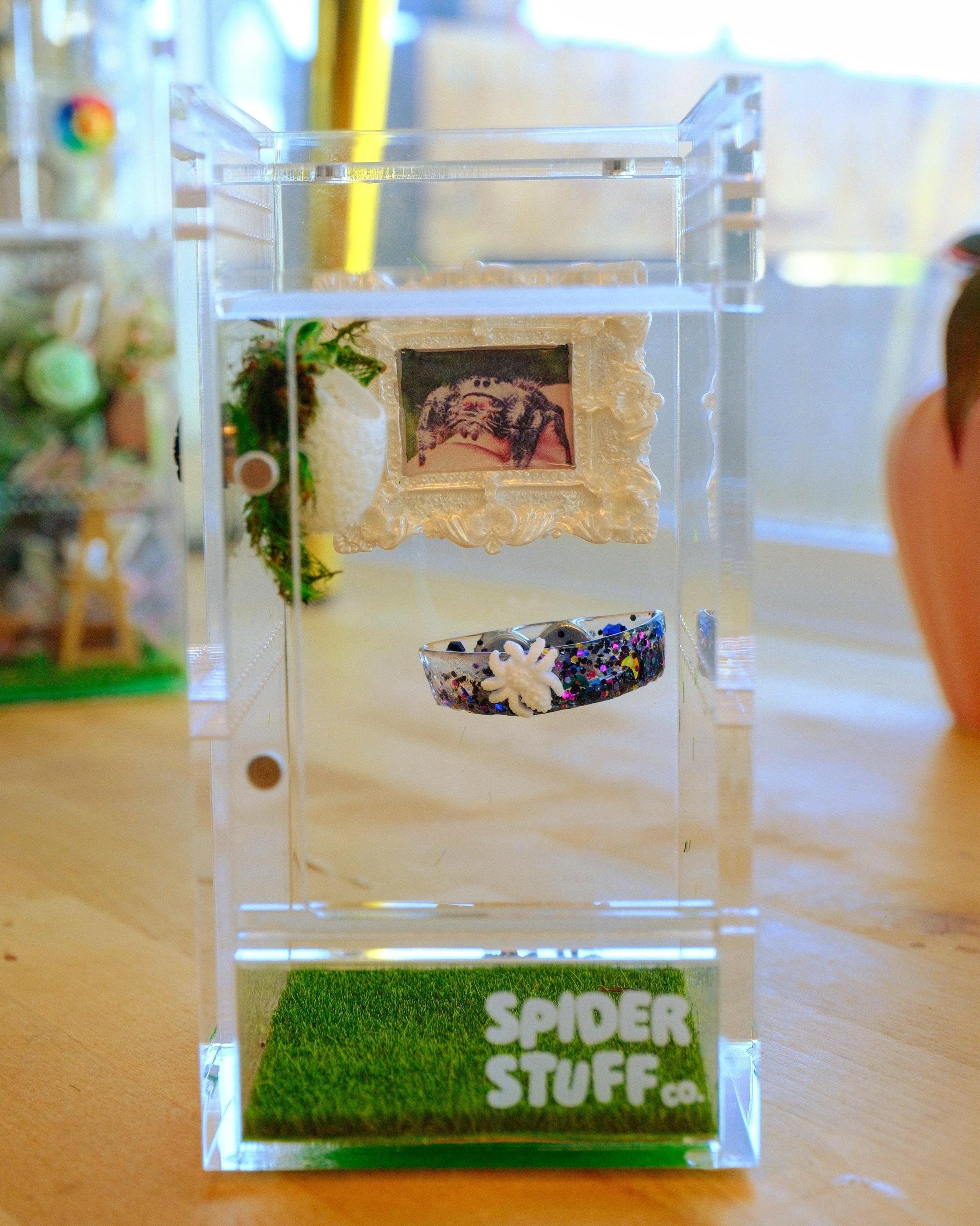 Jumping Spider Starter Kit - Enclosure With Hide, Feeding Dish, Decor ...