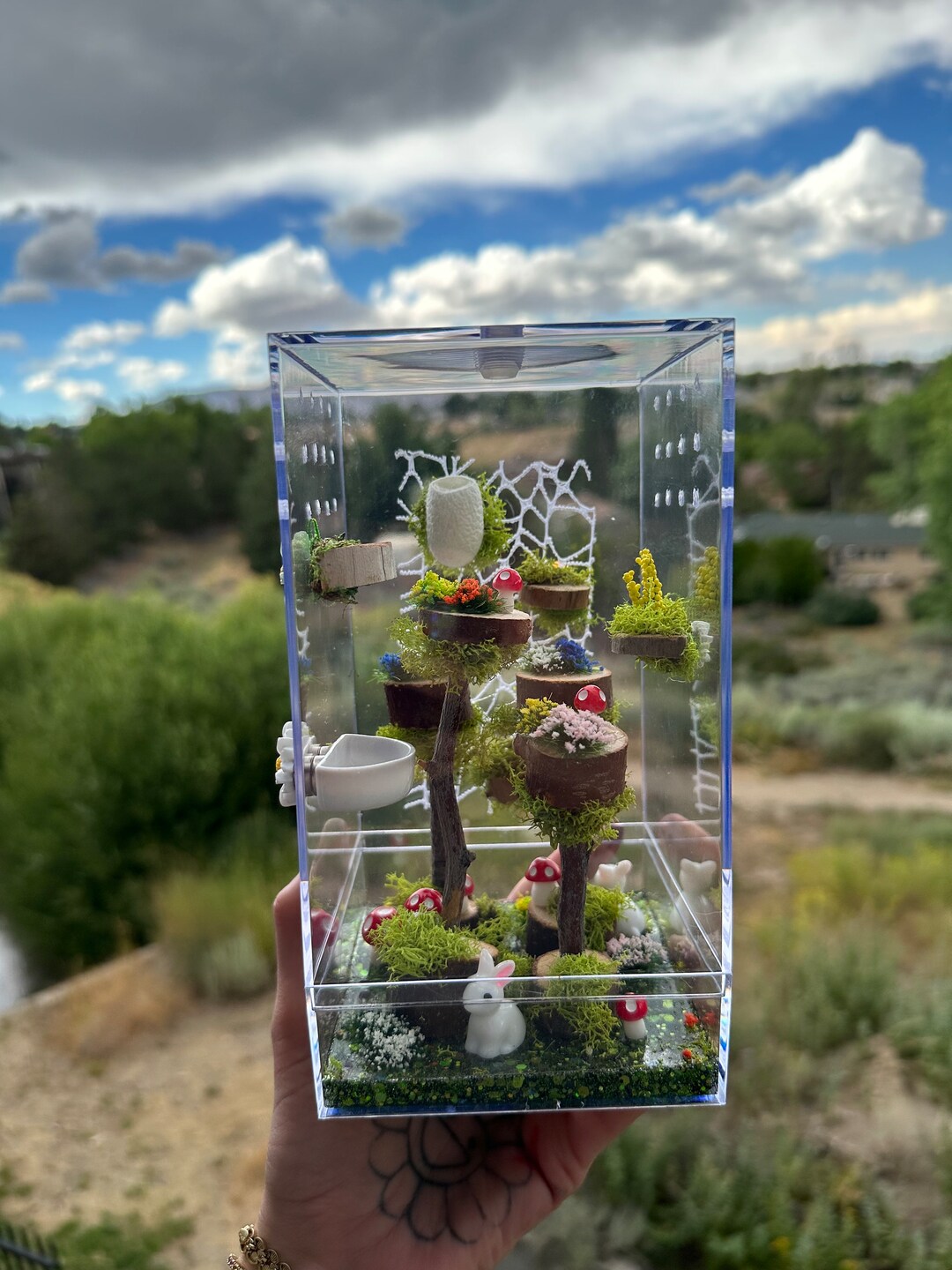 ORIGINAL Large Modular Spider Enclosure Jumping Spider Home - Etsy