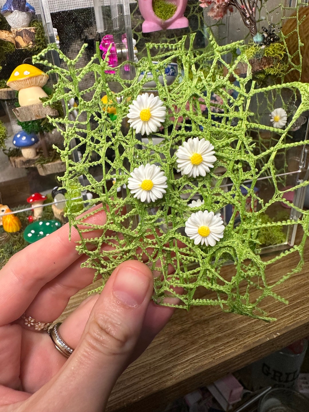 Spider Wall Crawl, Spider Wall Crawl Fabric , Spider House, Pet Spider ...