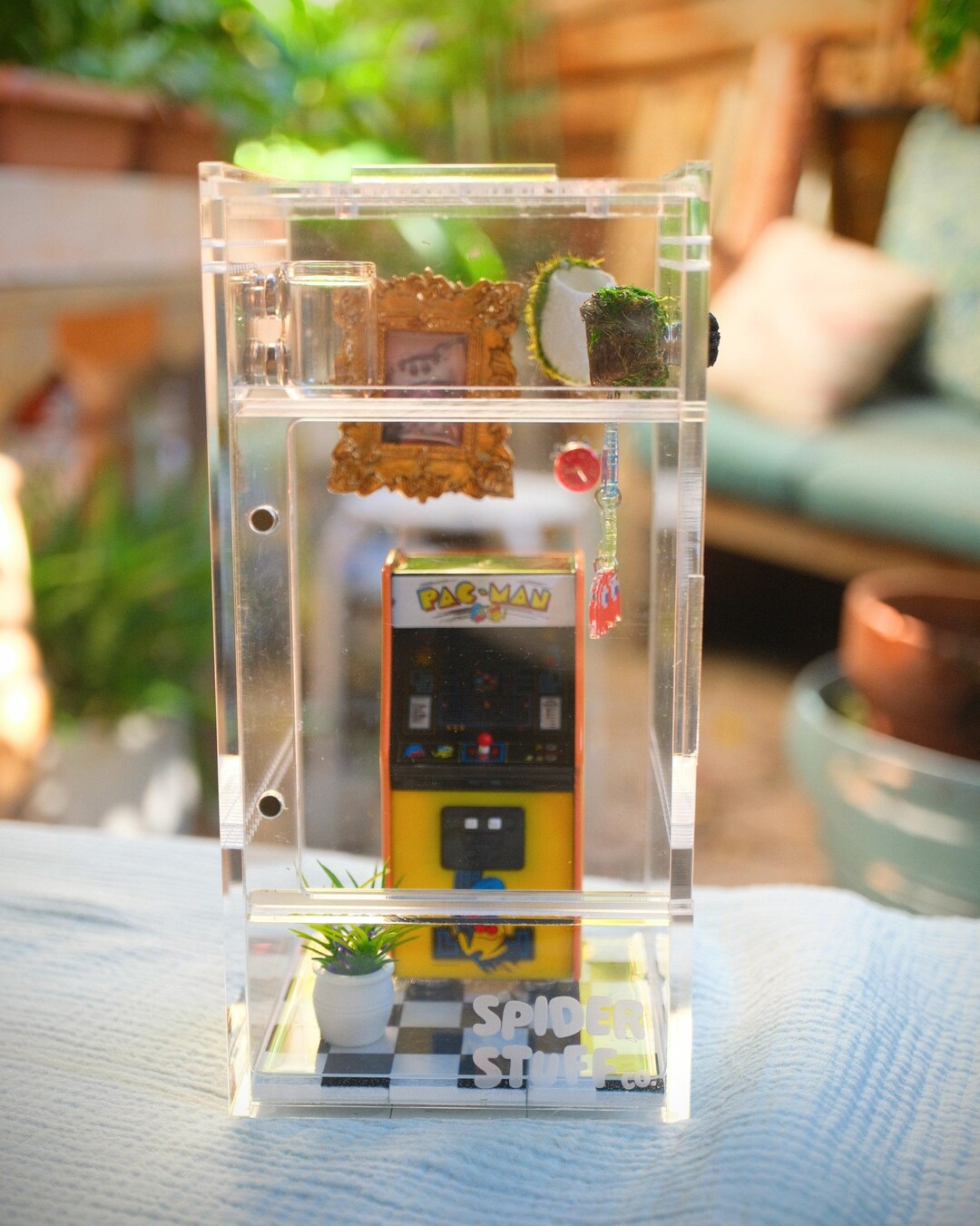 Pac-man Arcade Jumping Spider Enclosure – Retro Gamer Habitat With ...