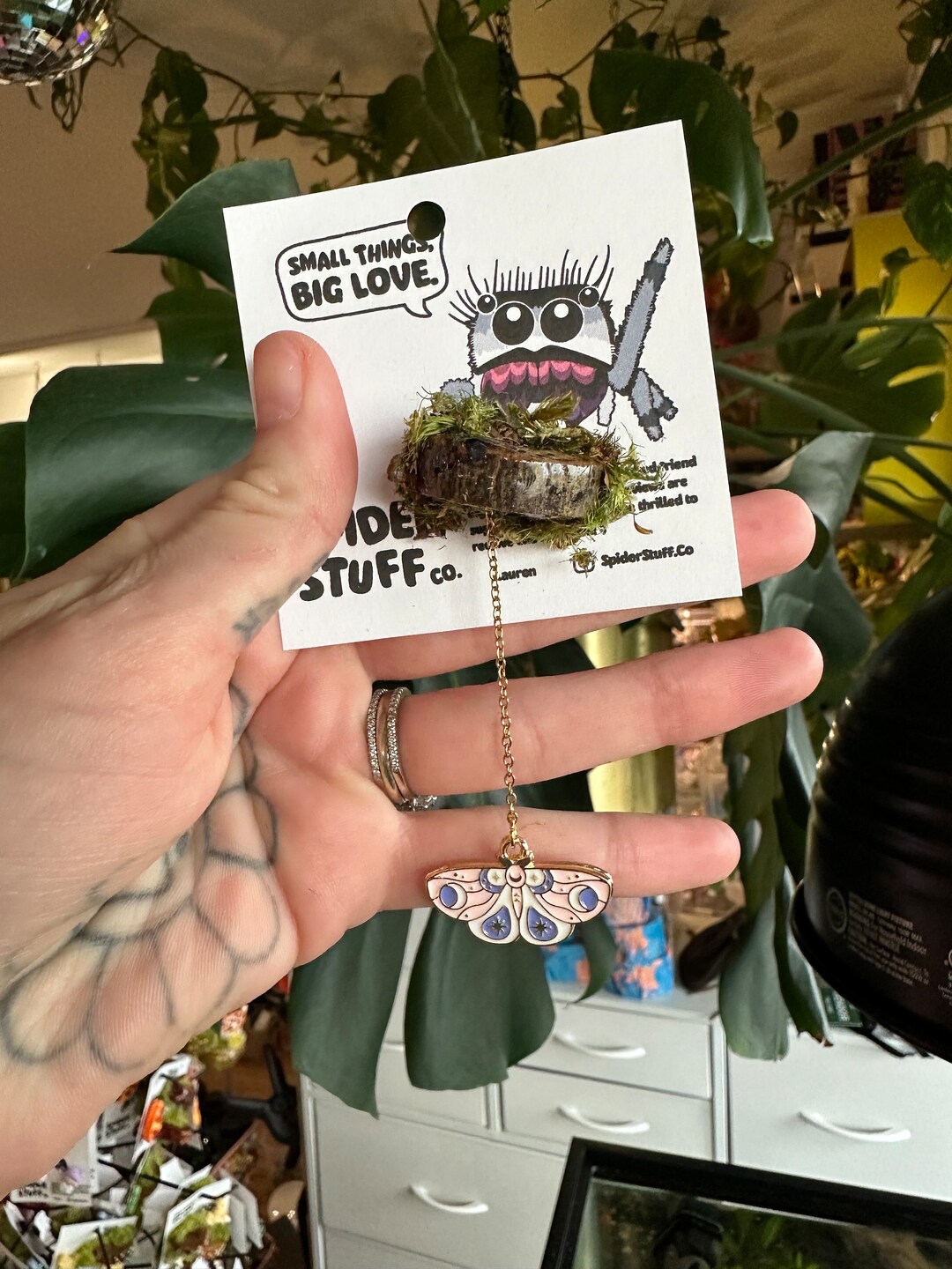 Spider Home Decor , Jumping Spider Fairy Perch, Jumping Spider Perch ...