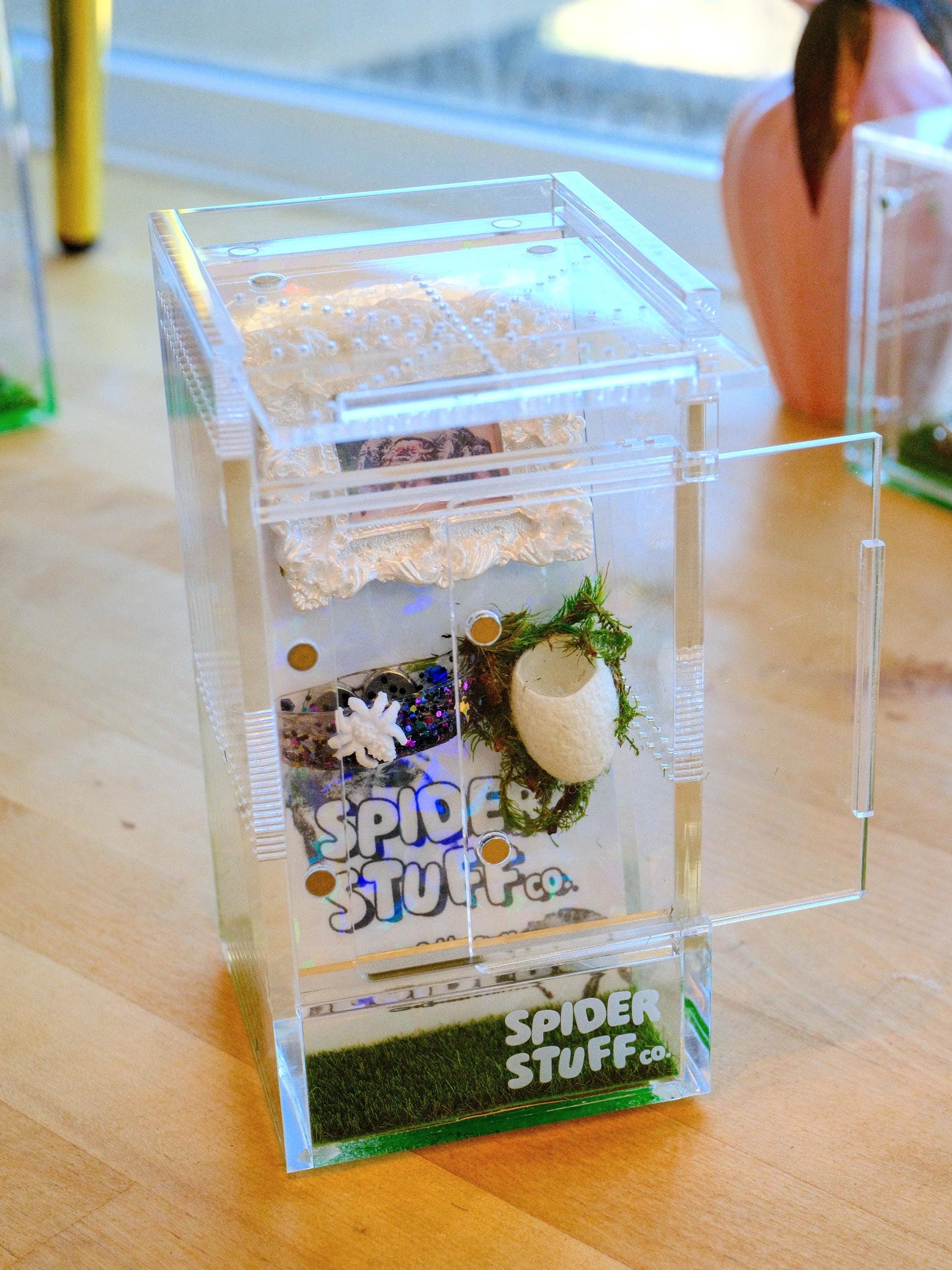 Jumping Spider Starter Home - Enclosure + Hide, Feeder, Decor! - Etsy