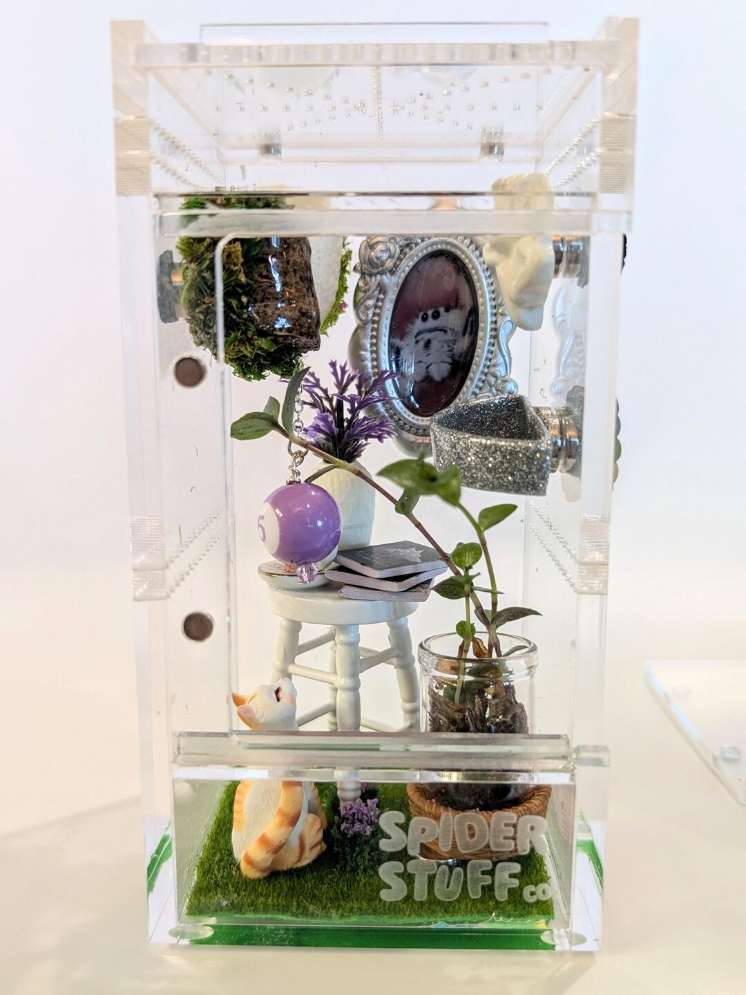 Cozy Reading Spider Enclosure – Miniature Cottagecore Habitat, Cat ...