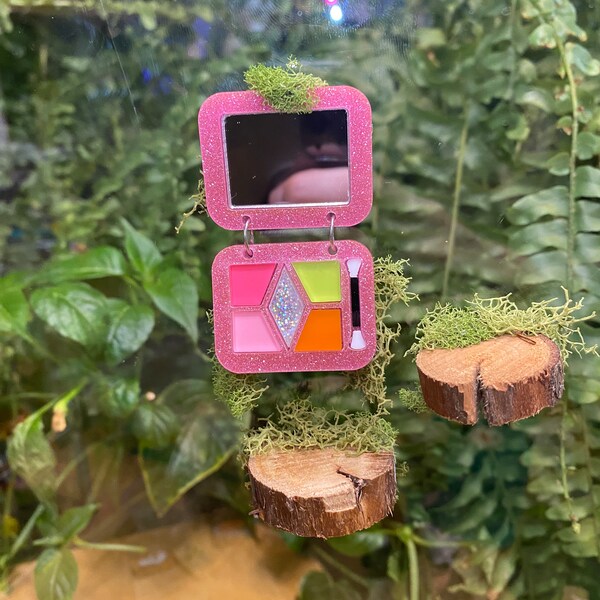 Jumping Spider Enclosure - Etsy