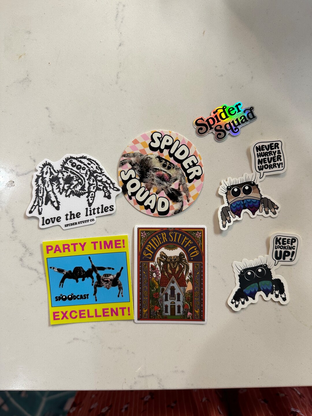 Jumping Spider Stickers Set of 7, Spider Stickers, Cute Spider Stickers ...