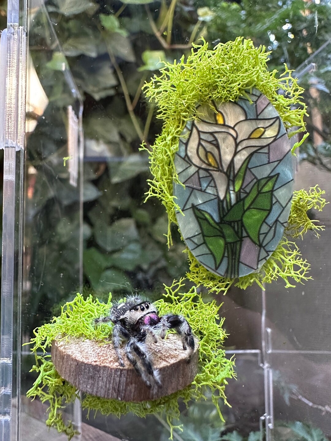 Calla Lilly Spider Perch Jumping Spider Perch Pet Jumping - Etsy