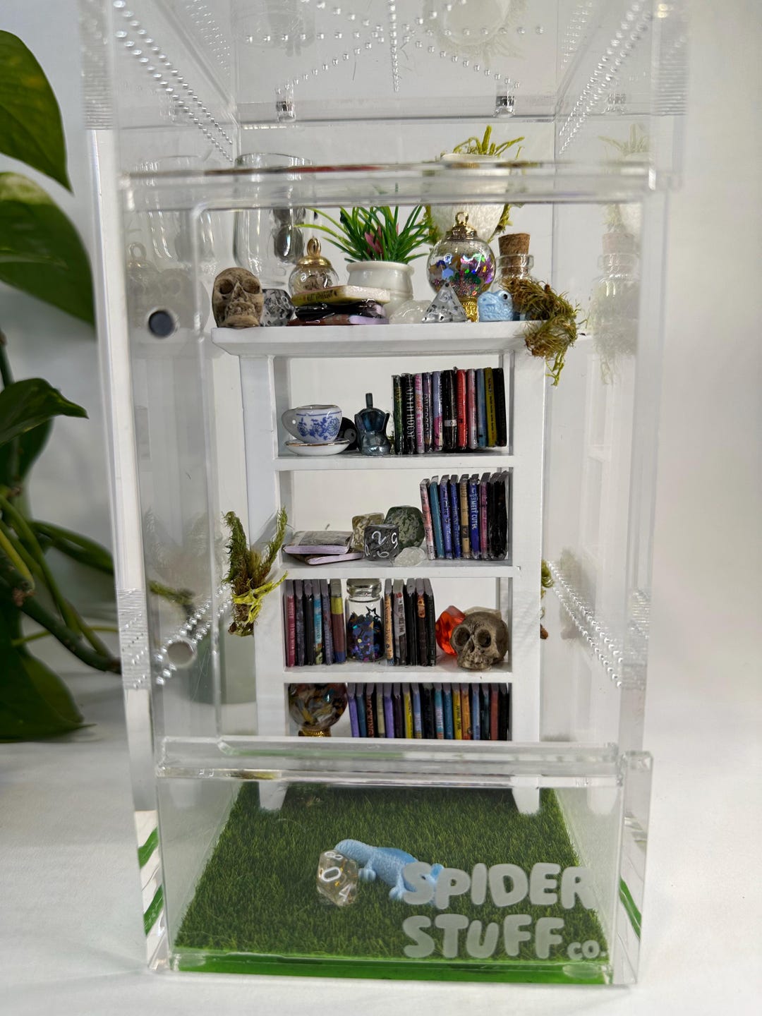 ORIGINAL Modular Spider Enclosure 4 X 4 X 8, Jumping Spider Home ...