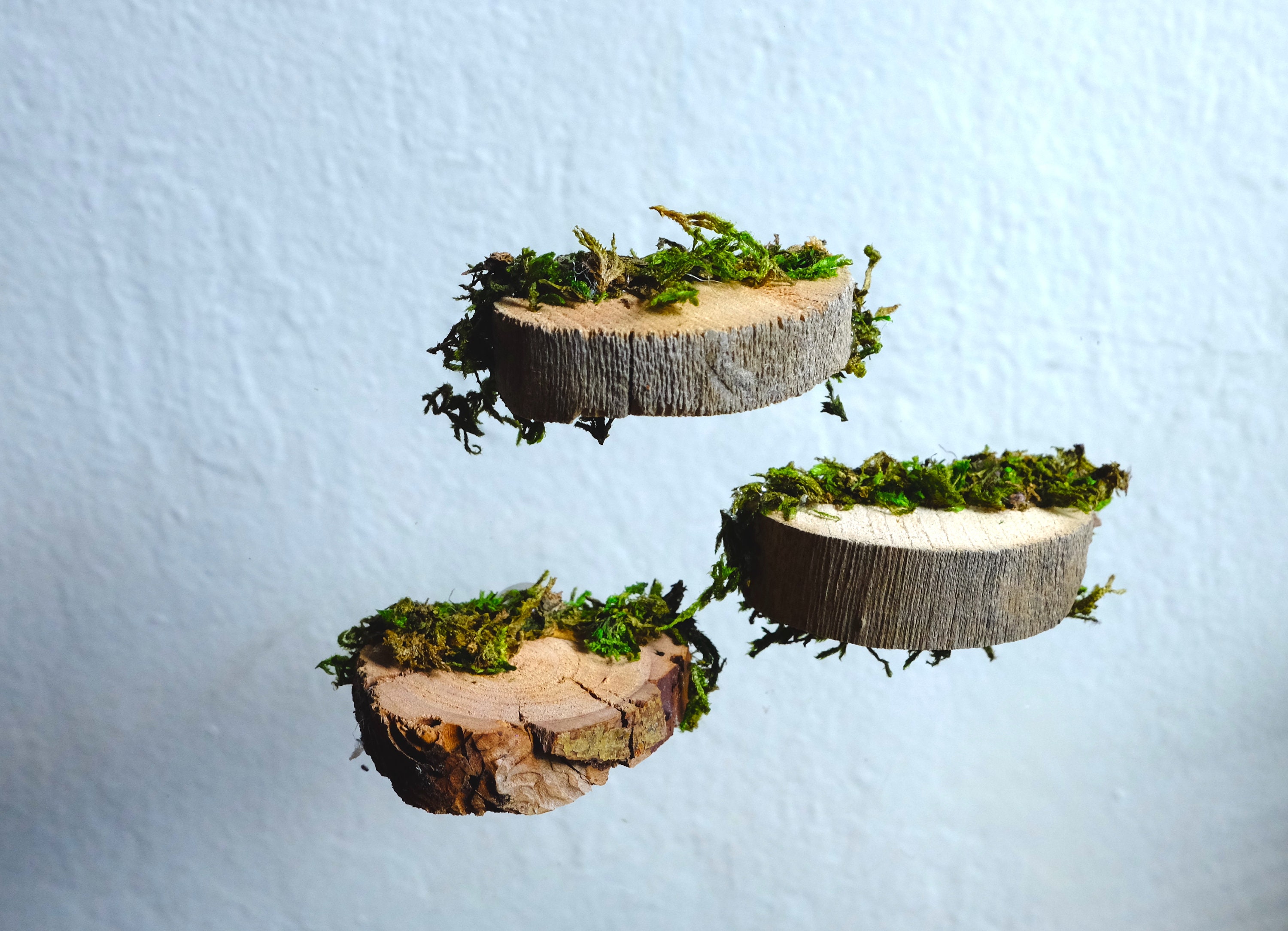 Set of 3 Small Spider Ledge Jumping Spider Fairy Perch - Etsy Canada