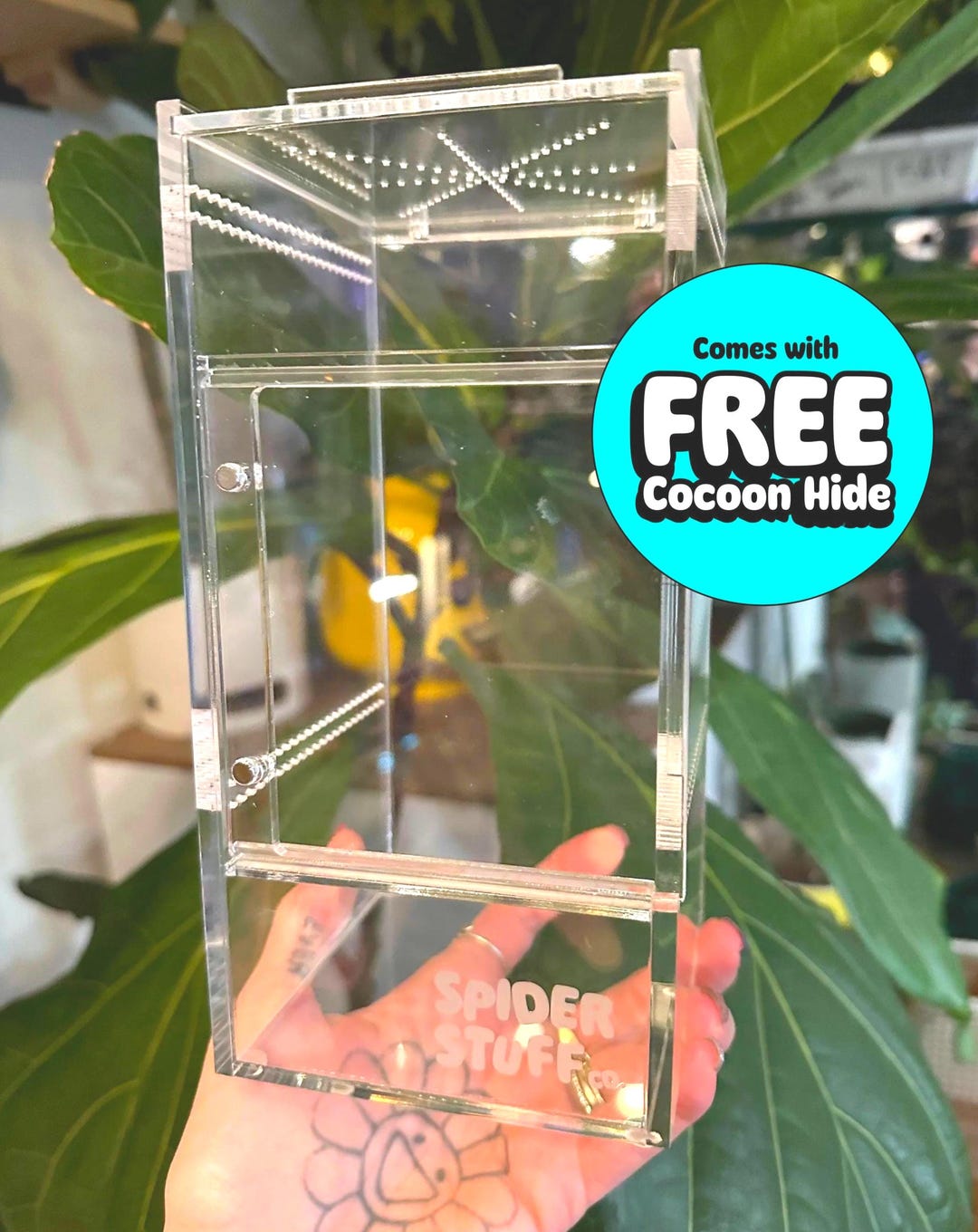 Jumping Spider Enclosure PLUS Hide - Magnetic Doors 4x4x8 - Etsy