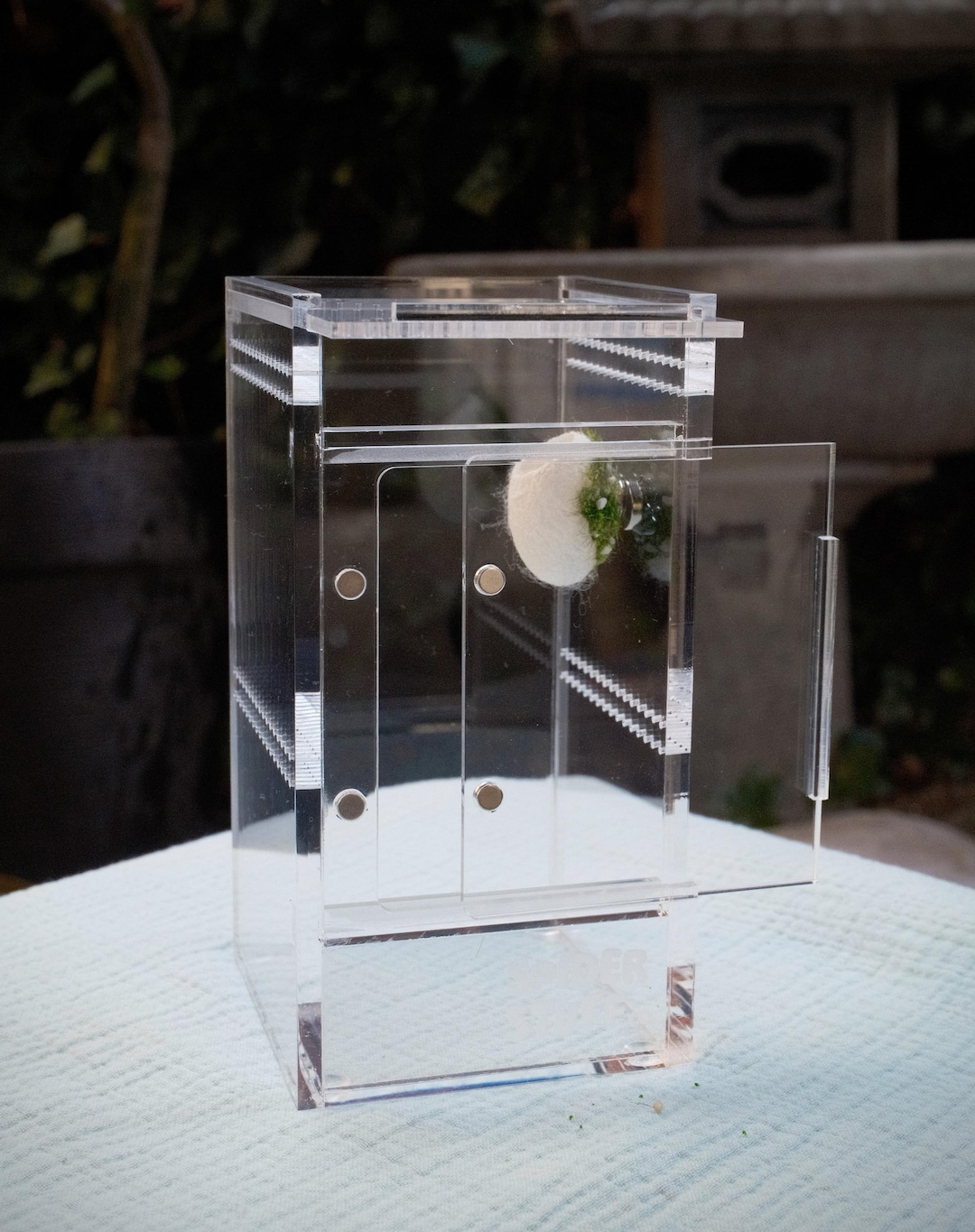 Jumping Spider Enclosure - FREE Cocoon Hide! ~3x3x6" - Etsy