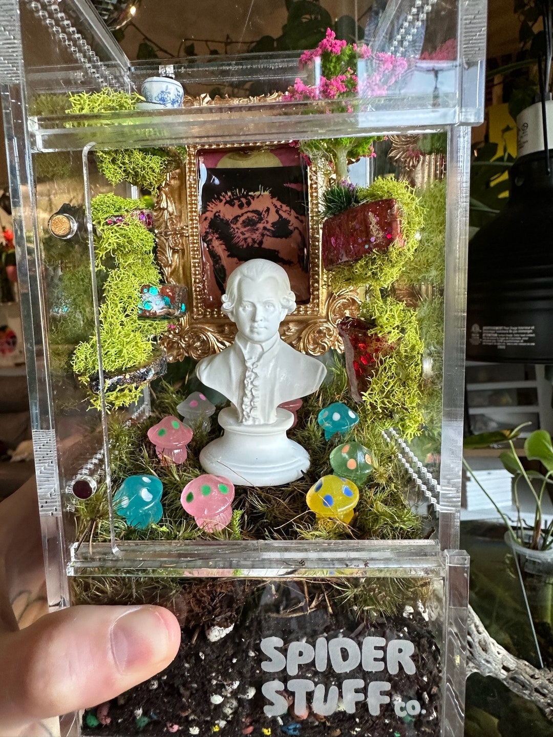 Spider Stuff Bioactive Enclosure Large 4”x 4” X 8”, Spider Enclosure ...