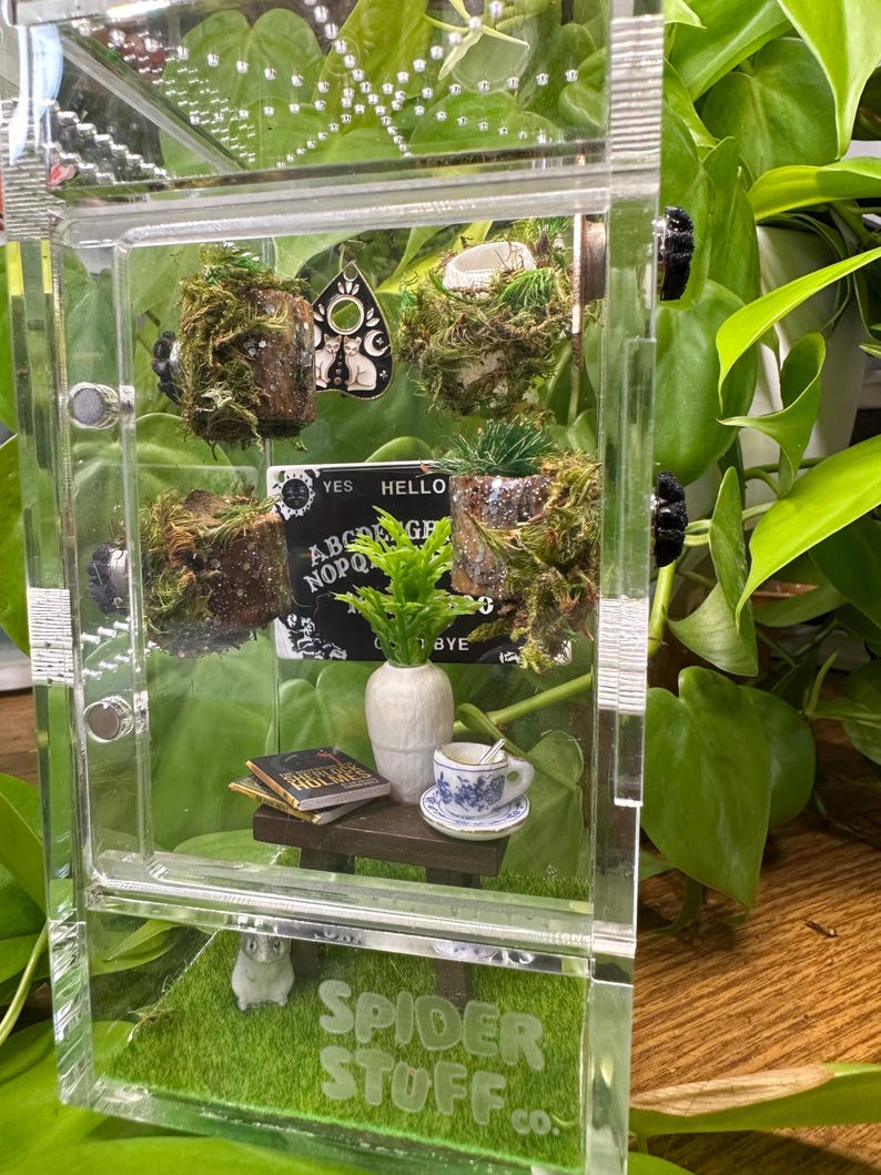 ORIGINAL Small Modular Spider Enclosure 3x5.75 , Jumping Spider Home ...