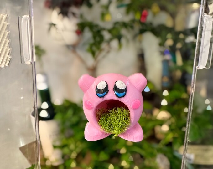 Kirby 3d Printed Spider Hide, Fairy Jumping Spider Home, Fairy Spider ...