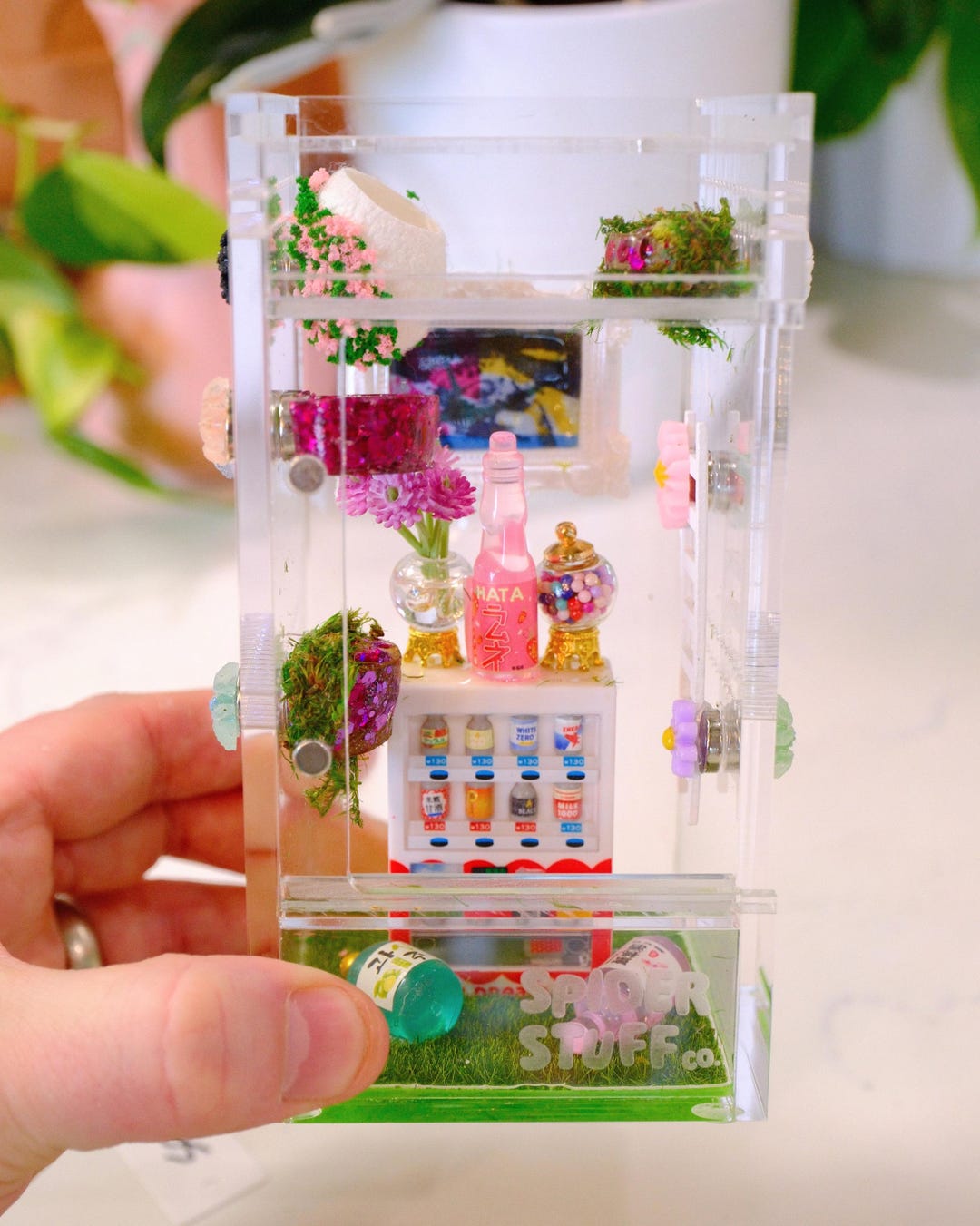 Kawaii Vending Machine Jumping Spider Enclosure – Japanese-inspired ...