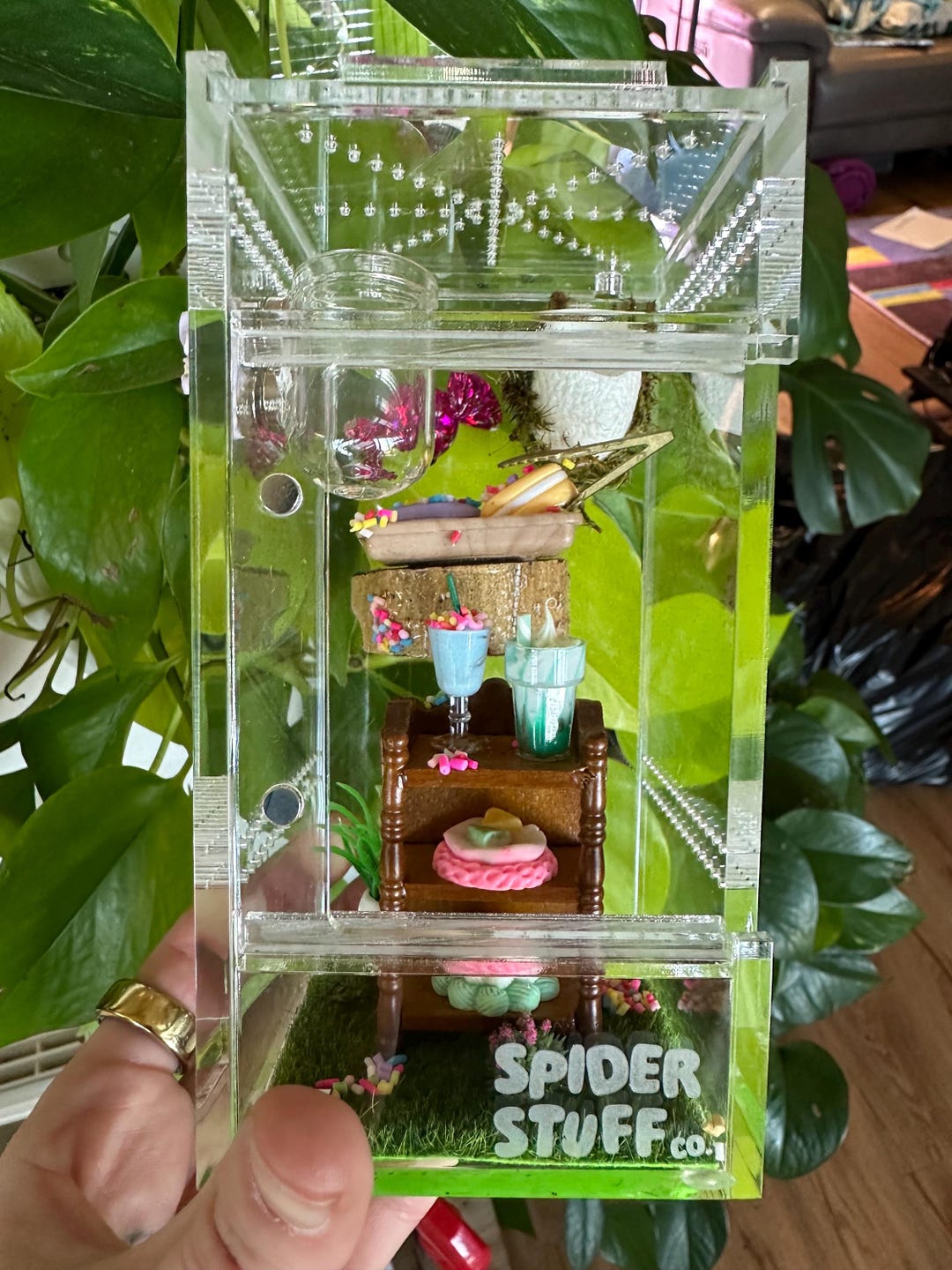 ORIGINAL Small Modular Spider Enclosure 3x5.75 , Jumping Spider Home ...