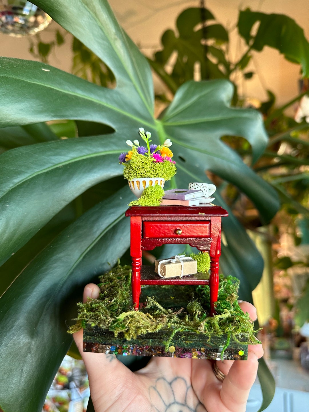 Jumping Spider Playground, Jumping Spider Home Insert, Jumping Spider ...