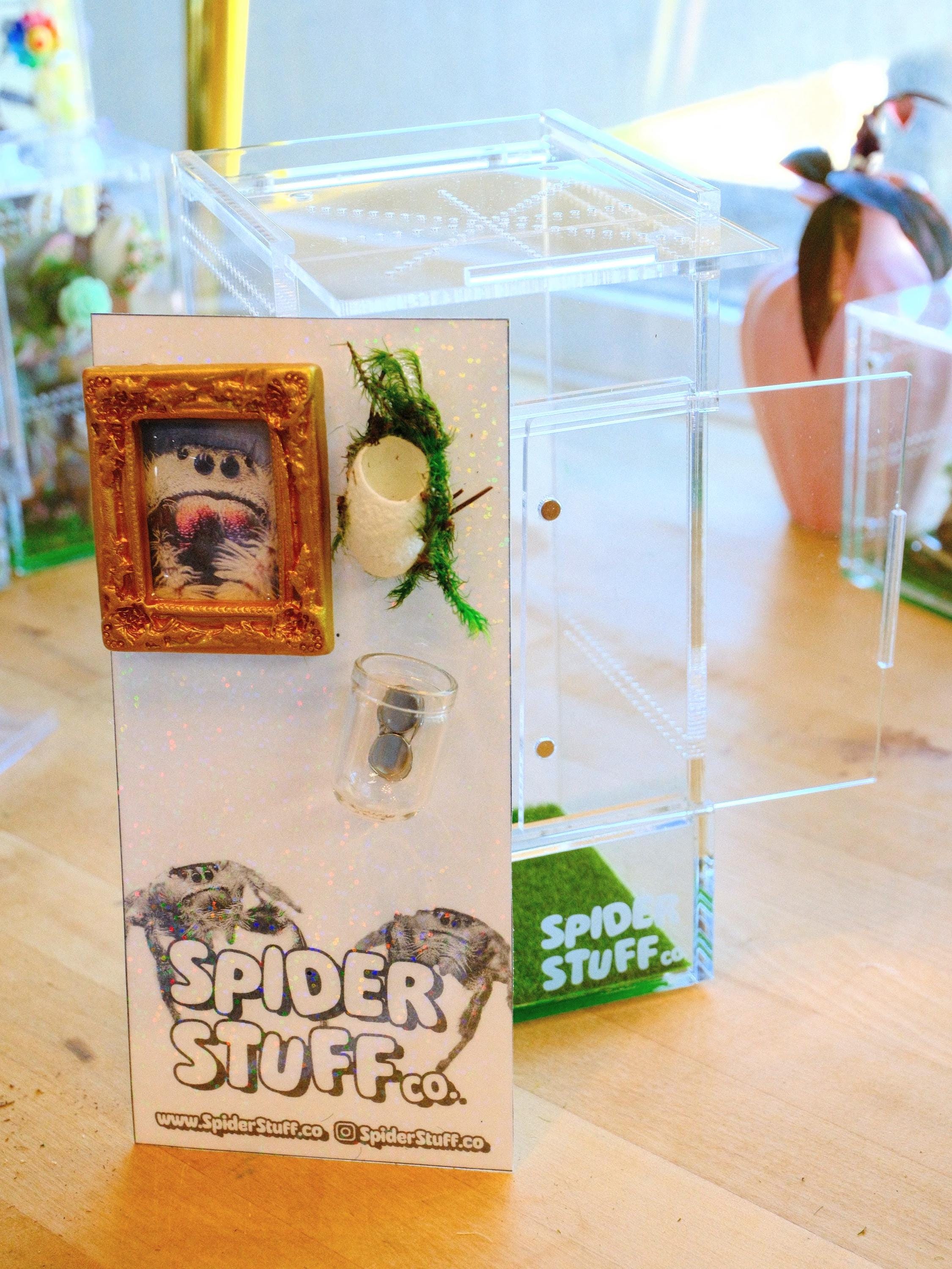 Jumping Spider Starter Kit - Enclosure With Hide, Feeding Dish, Decor ...