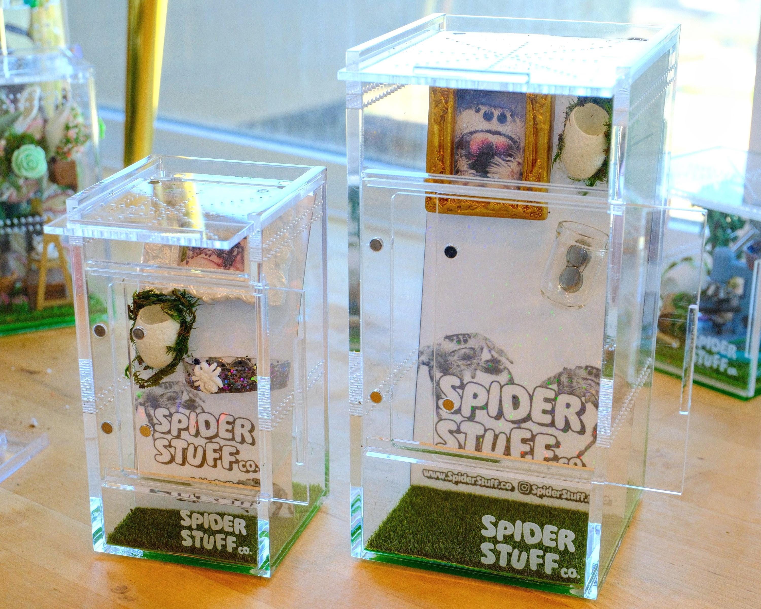 Jumping Spider Starter Kit - Enclosure With Hide, Feeding Dish, Decor ...