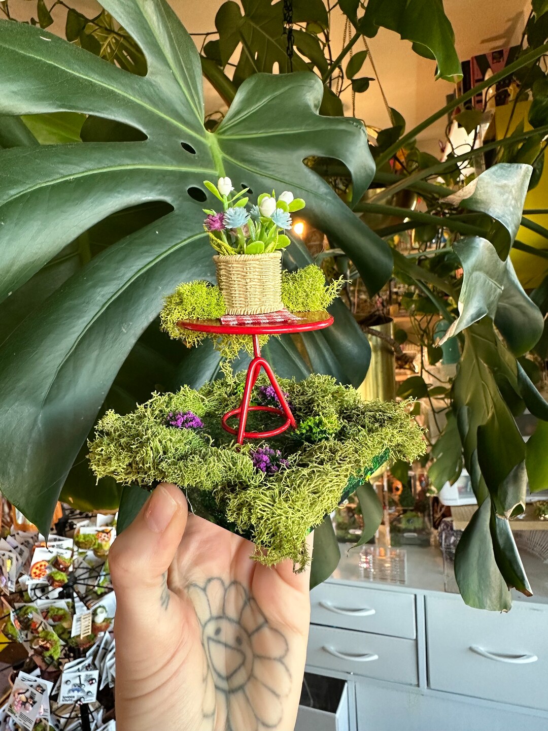 Jumping Spider Playground, Jumping Spider Home Insert, Jumping Spider ...