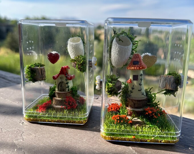 Set of 2 Small Modular Spider Enclosure 2.5 W X 2.25d 3.75 H, Jumping ...