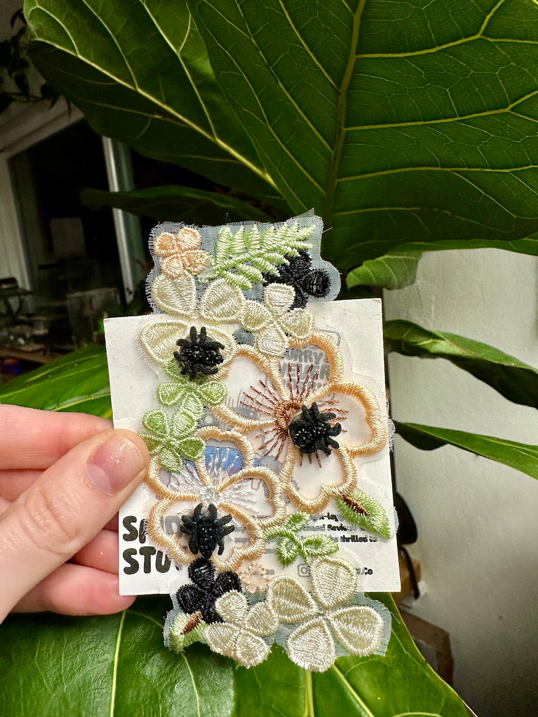 Spider Wall Crawl, Spider Wall Crawl Fabric , Spider House, Pet Spider ...