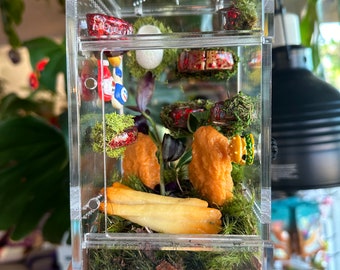 Spider Stuff Bioactive Enclosure Large 4x 4 X 8, Spider Enclosure ...