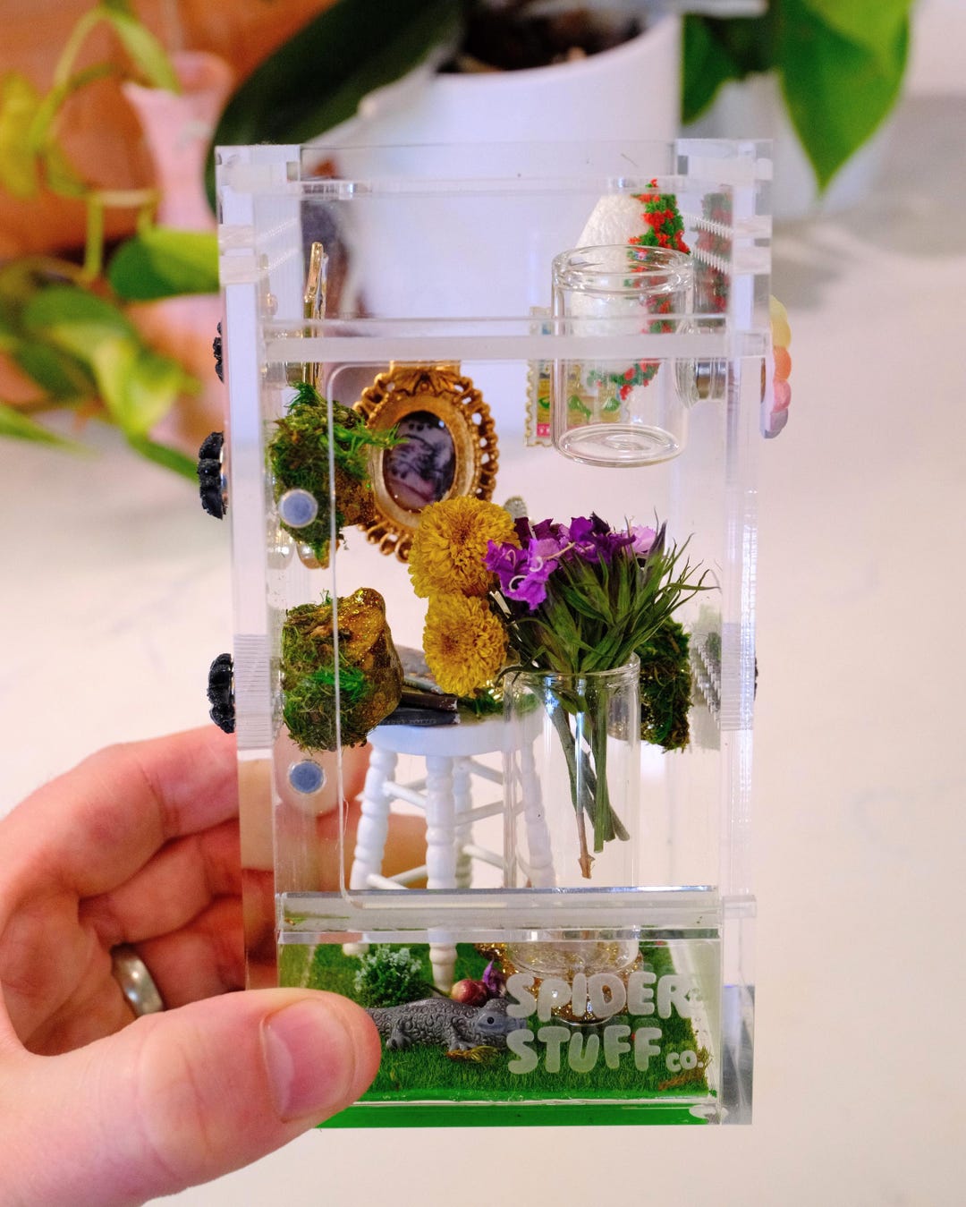 Hogwarts Study Jumping Spider Enclosure – Vintage Wizard-themed Spider ...