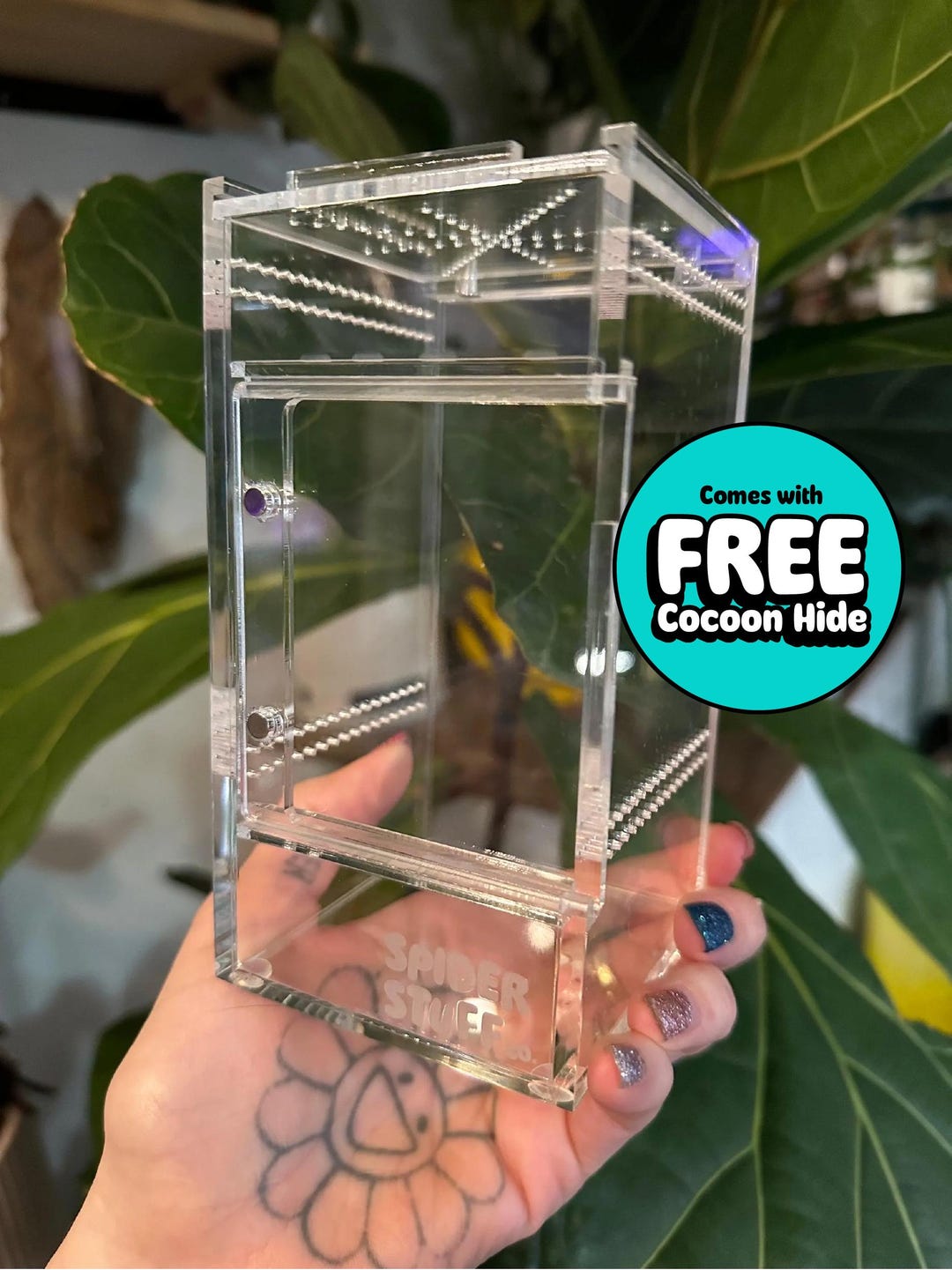 Jumping Spider Enclosure + FREE Cocoon Hide! ~3x3x6" - Etsy