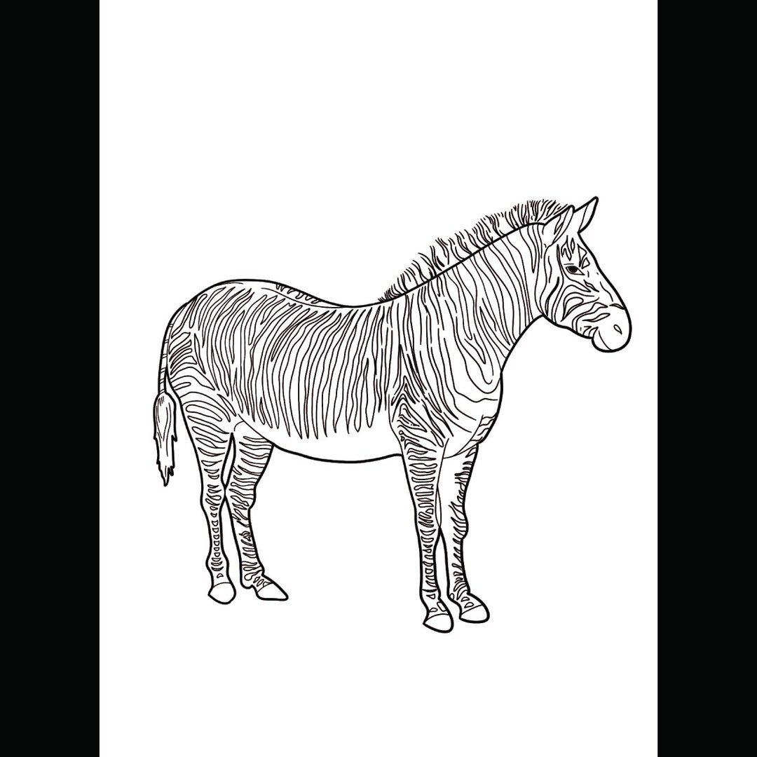 Pearl Paint Printable Zebra Creative Coloring Sheets, Animals Art ...