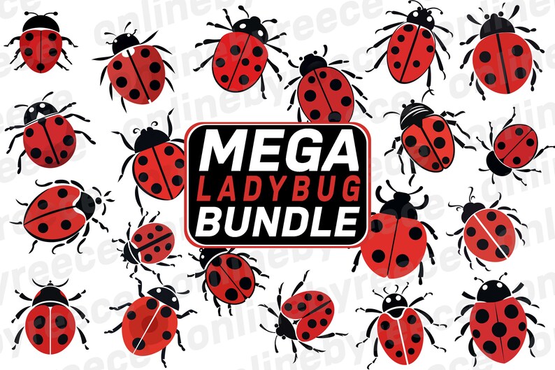 Ladybug SVG Bundle, Ladybug SVG Cut Files for Cricut, Ladybug Vector ...