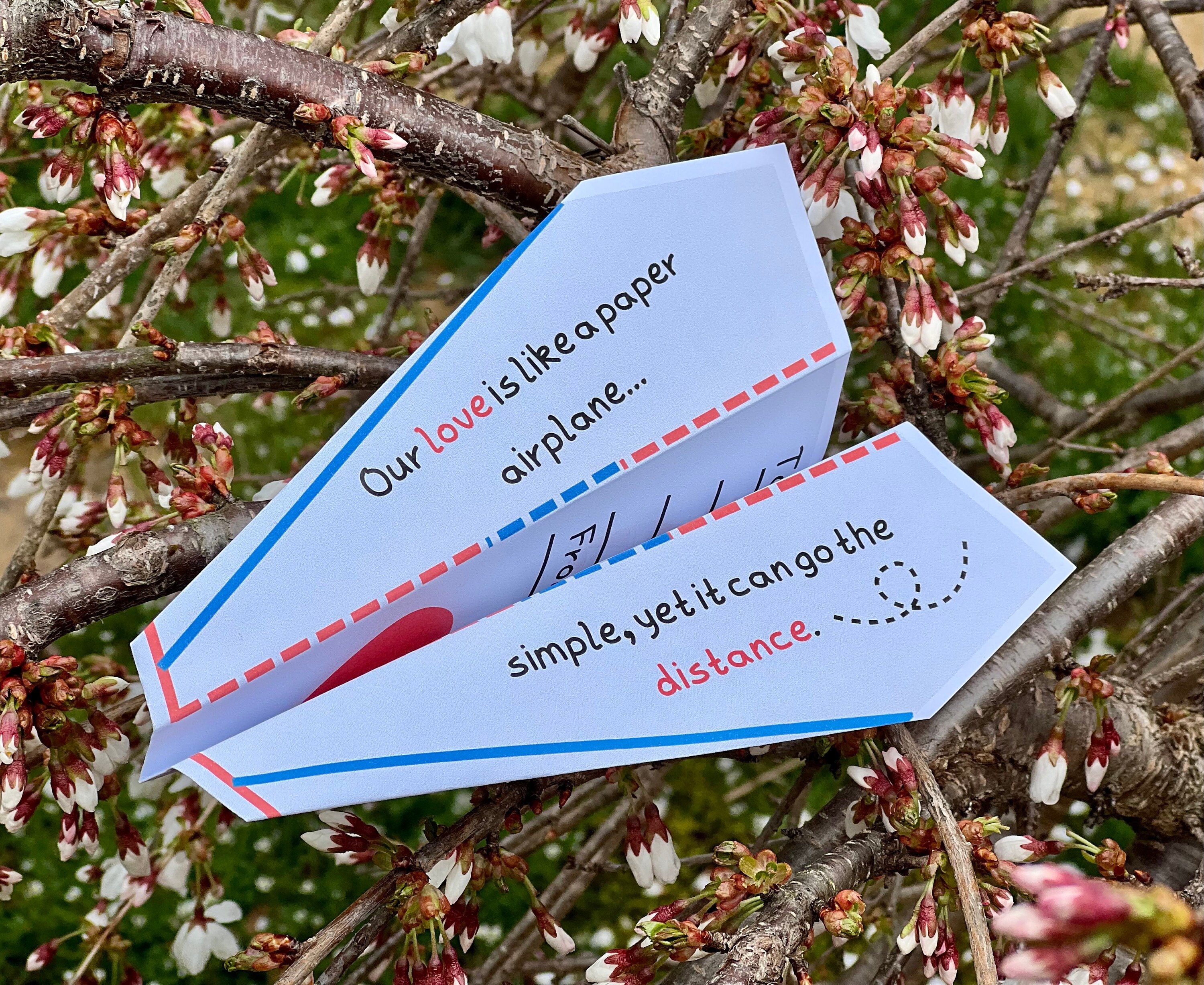 Printable Paper Airplane Card for Anniversary, Valentine's Day, Love ...