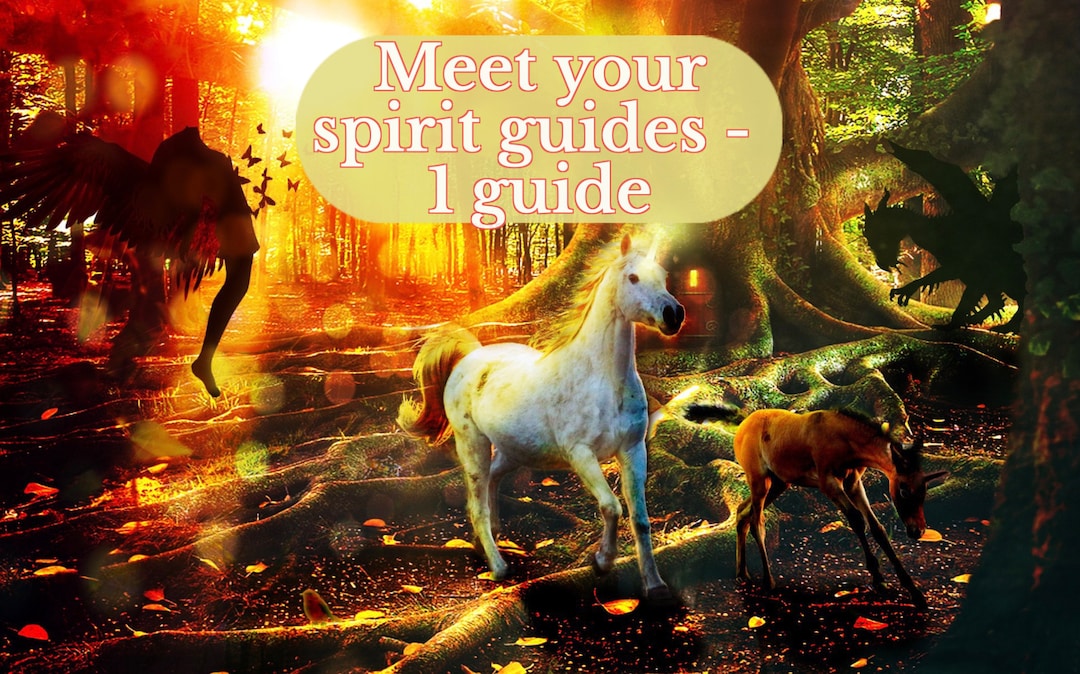 Meet Your Spirit Guides: One Guide - Etsy