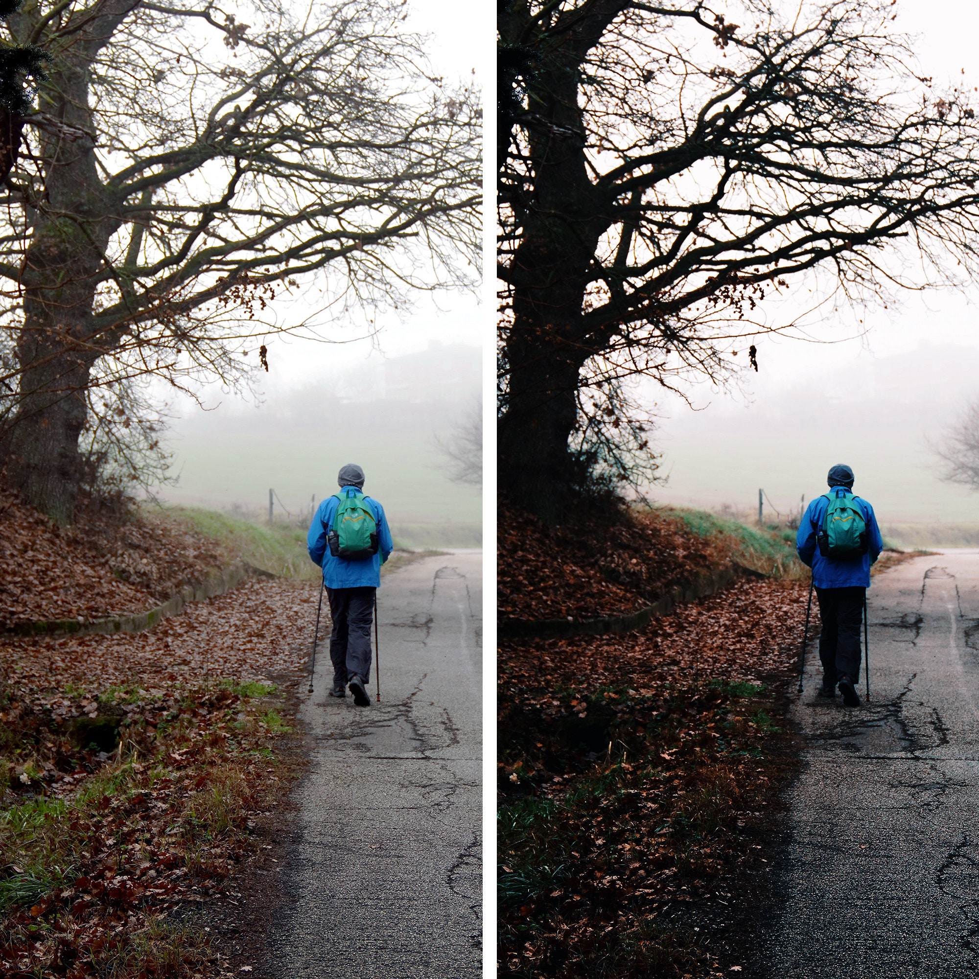 40 Cinematic Film Luts for Color Grading Video and Photo for Mobile and ...