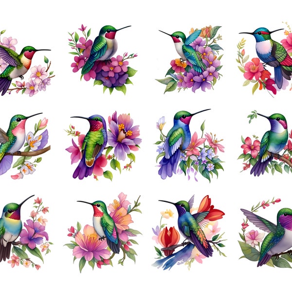 Hummingbird Clipart - Etsy