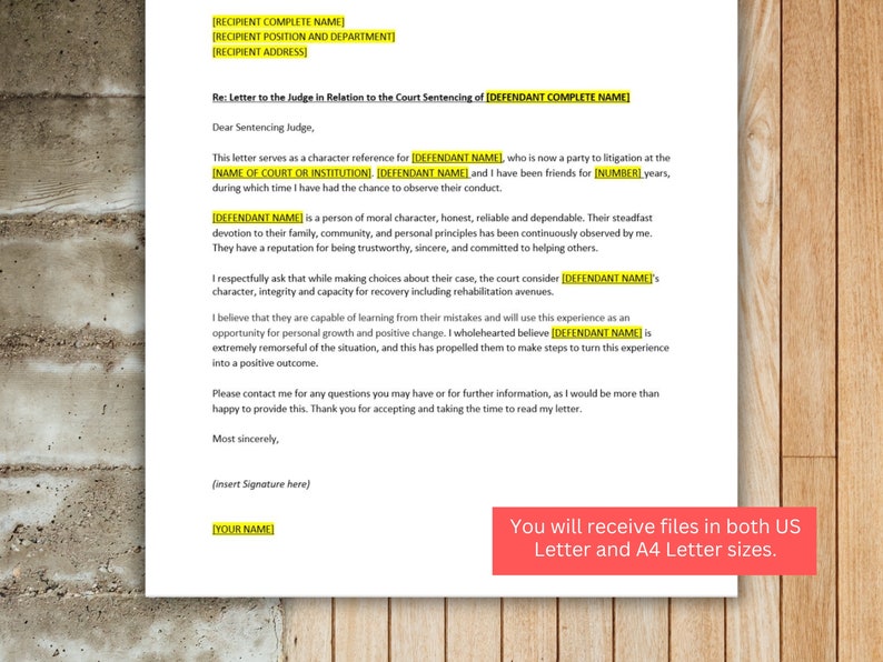 Court Character Reference Letter Template, Court Character Reference ...