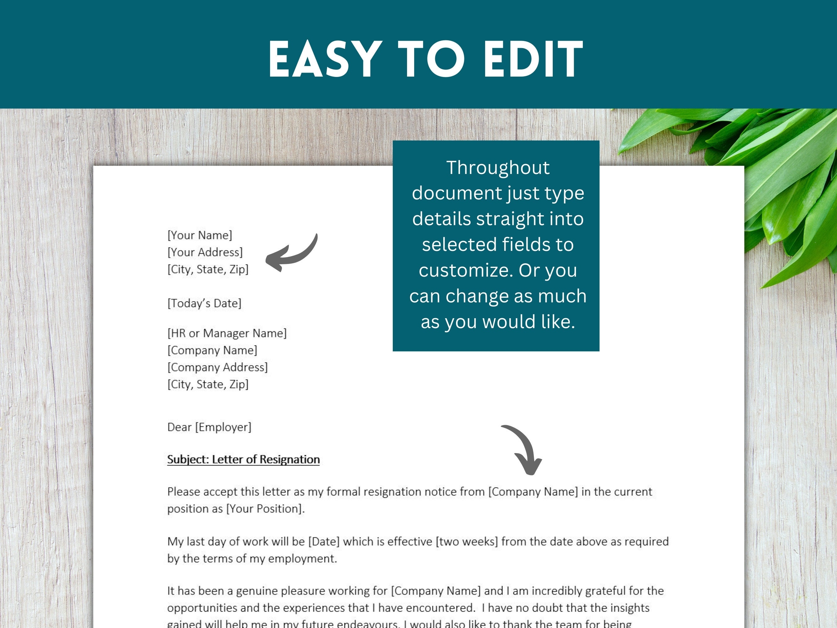 Professional Resignation Letter, Editable Microsoft Word, Notice Letter ...