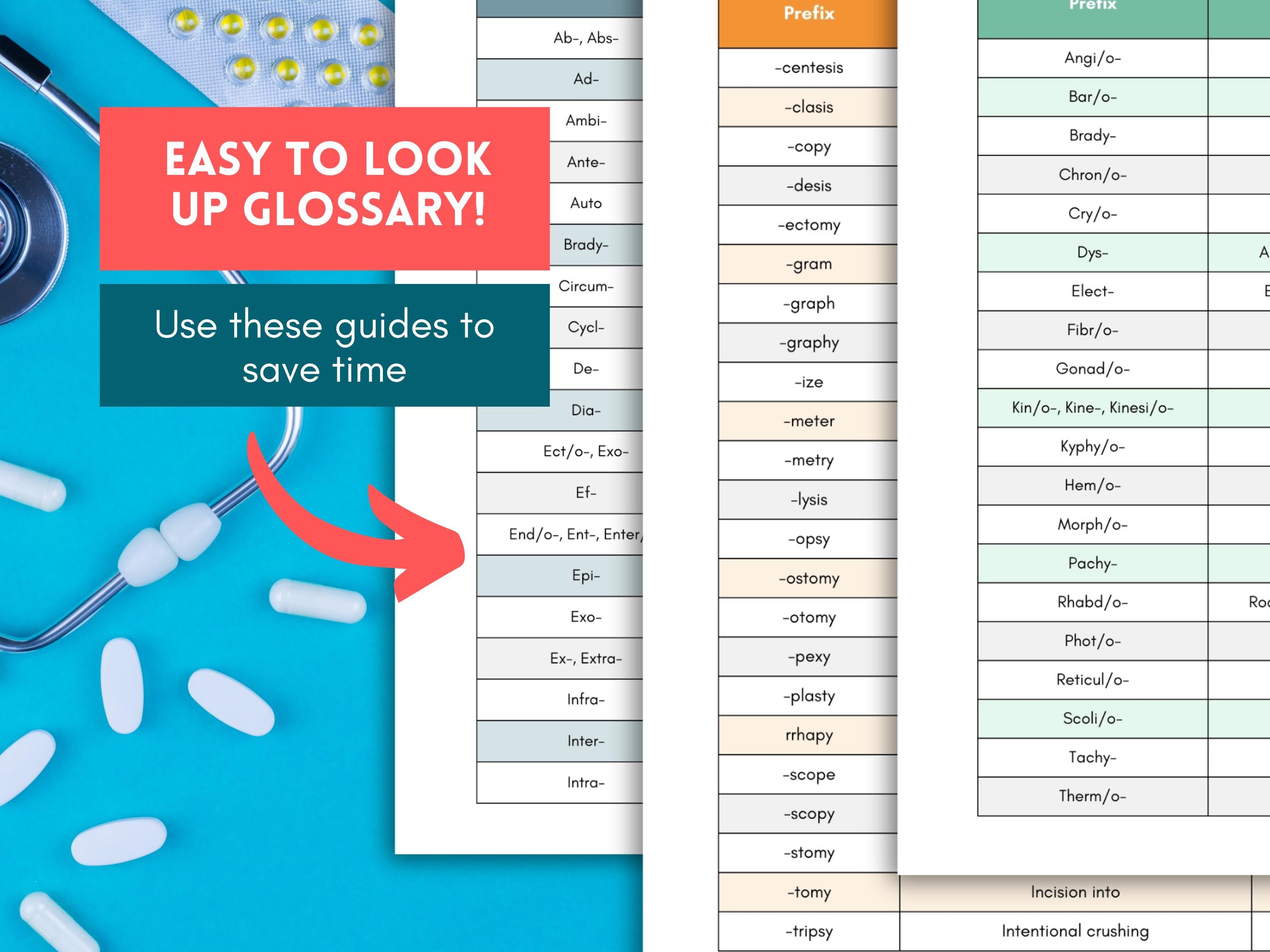 Medical Terminology Prefixes and Suffixes, Medical Terminology ...