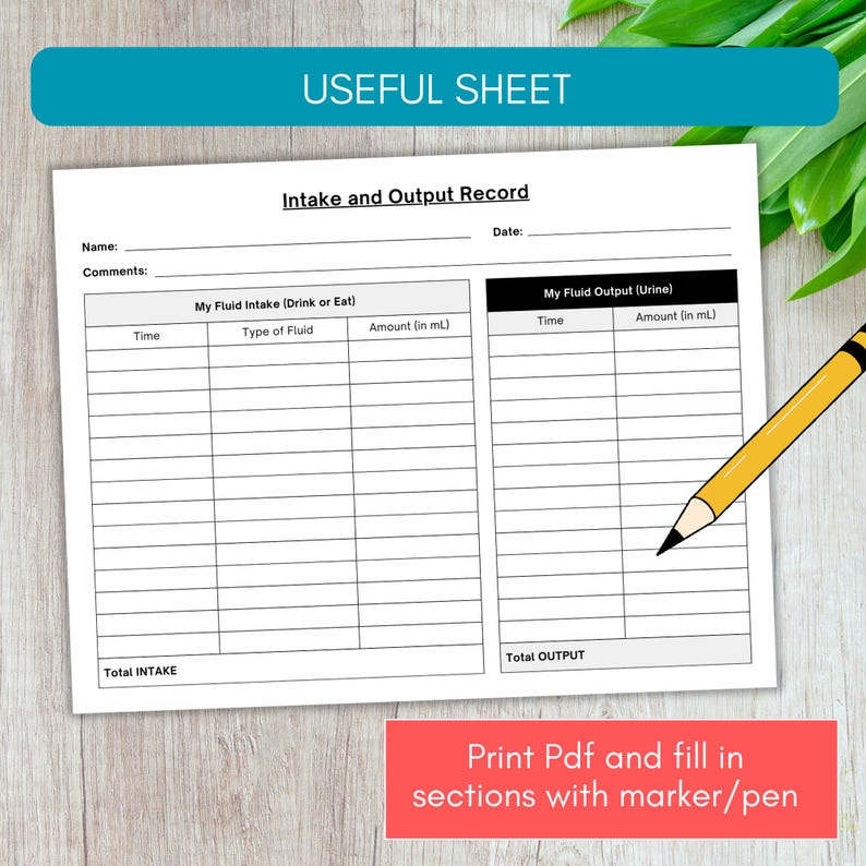 Fluids Intake and Output Record, Fluid Balance Chart, Intake Output ...