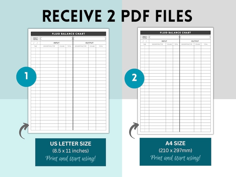 Fluid Balance Chart, Fluids Intake and Output Record, Intake and Output ...