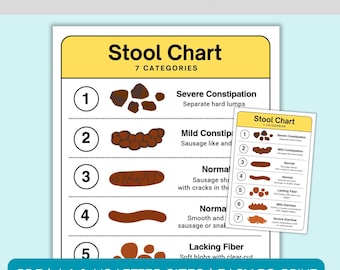 Bristol Stool Chart Plus Record Sheet: Stool Health (PDF Download ...