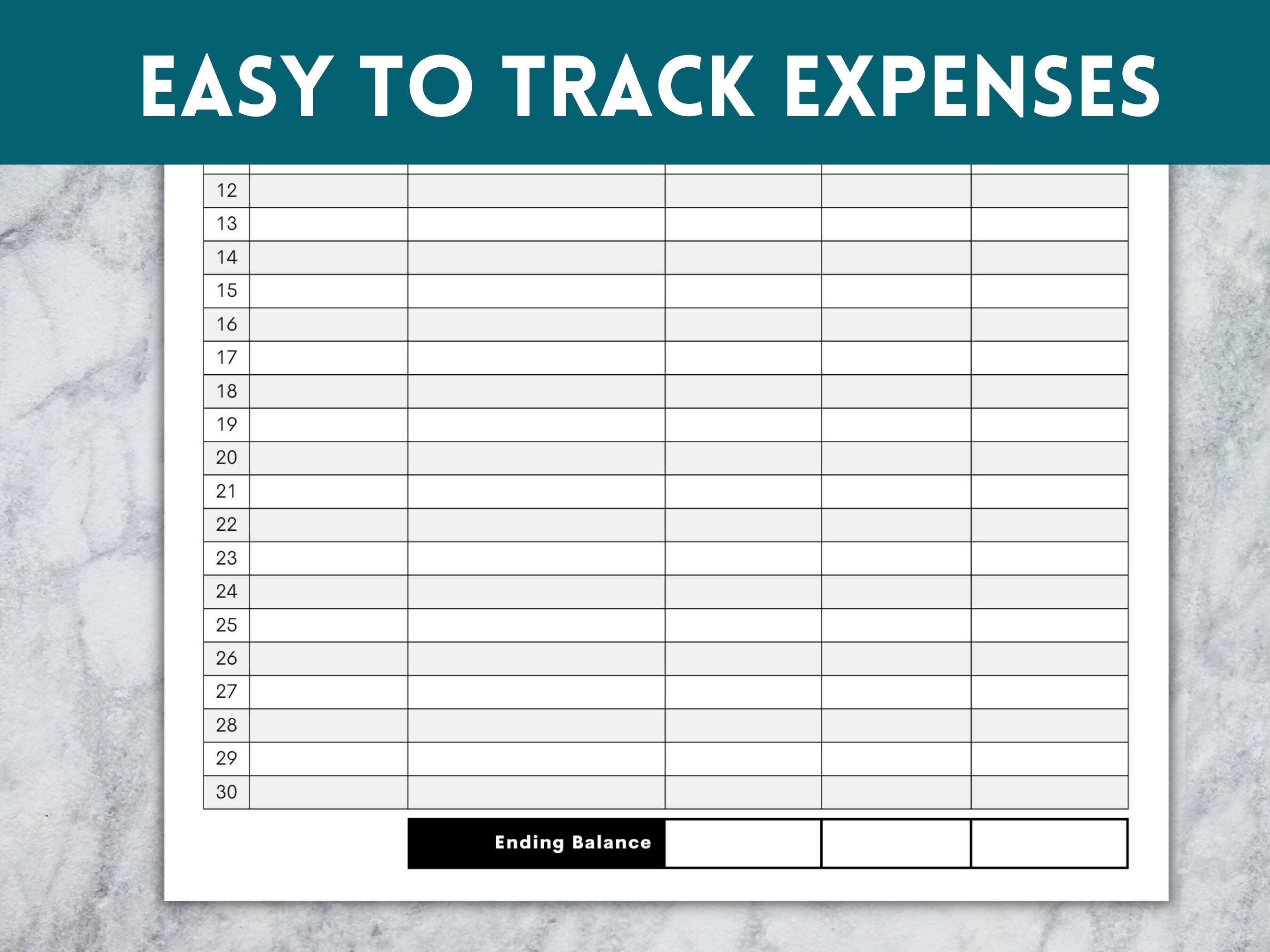Account Ledger, Accounting Ledger, Printable Ledger, General Ledger ...