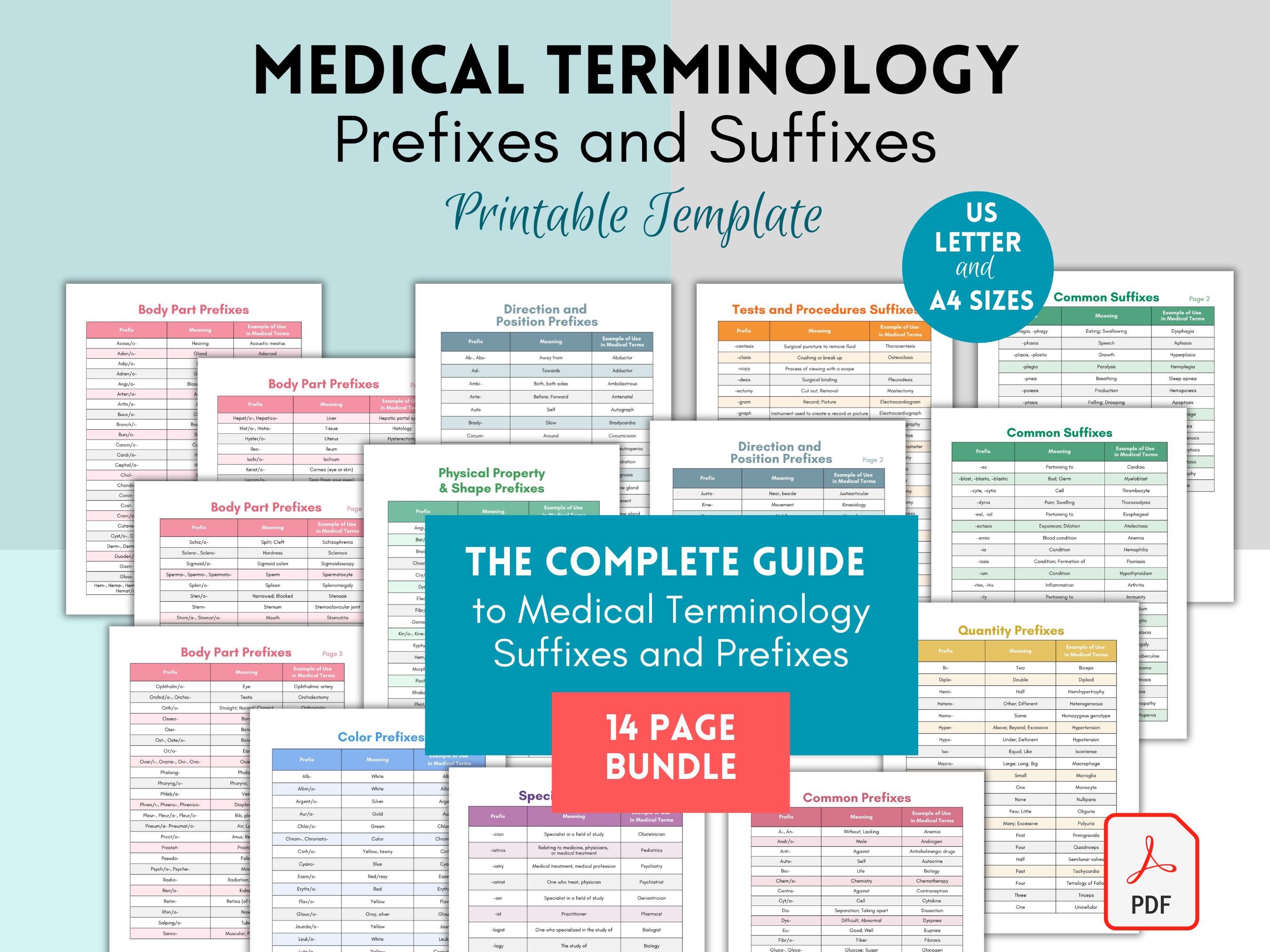 Medical Terminology Prefixes and Suffixes, Medical Terminology ...