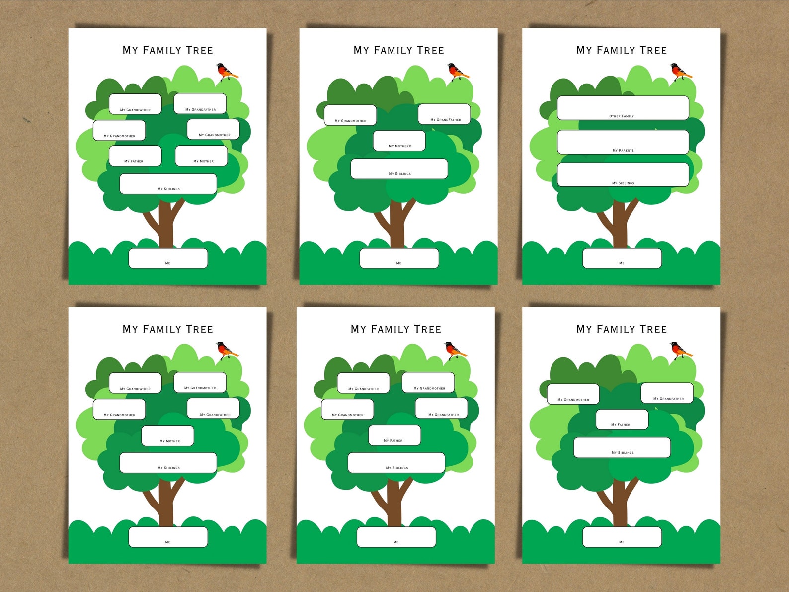 Family Tree Chart for Kids, Family History for Children, Genealogy ...