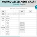 Wound Assessment Chart, Wound Management Chart for Nurses, Skin and ...