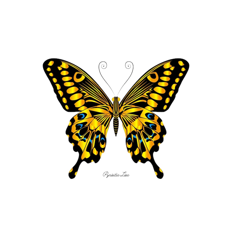 Butterfly Print Outs, Vintage Style Butterfly Prints, Butterfly Name ...