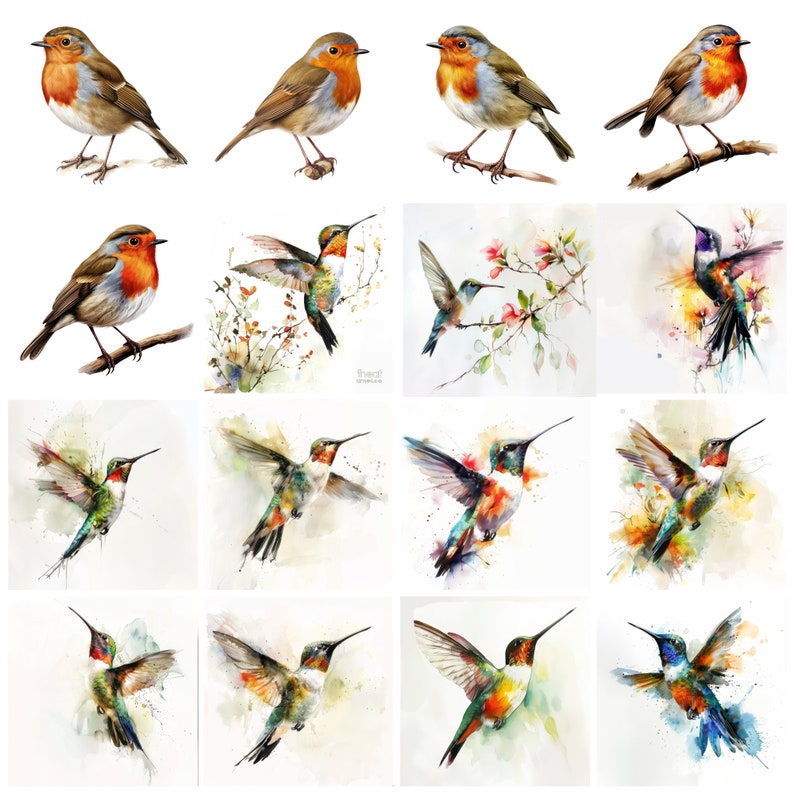 Birds Mega Bundle, More Than 70 Images in PNG and JPG Format, Digital ...