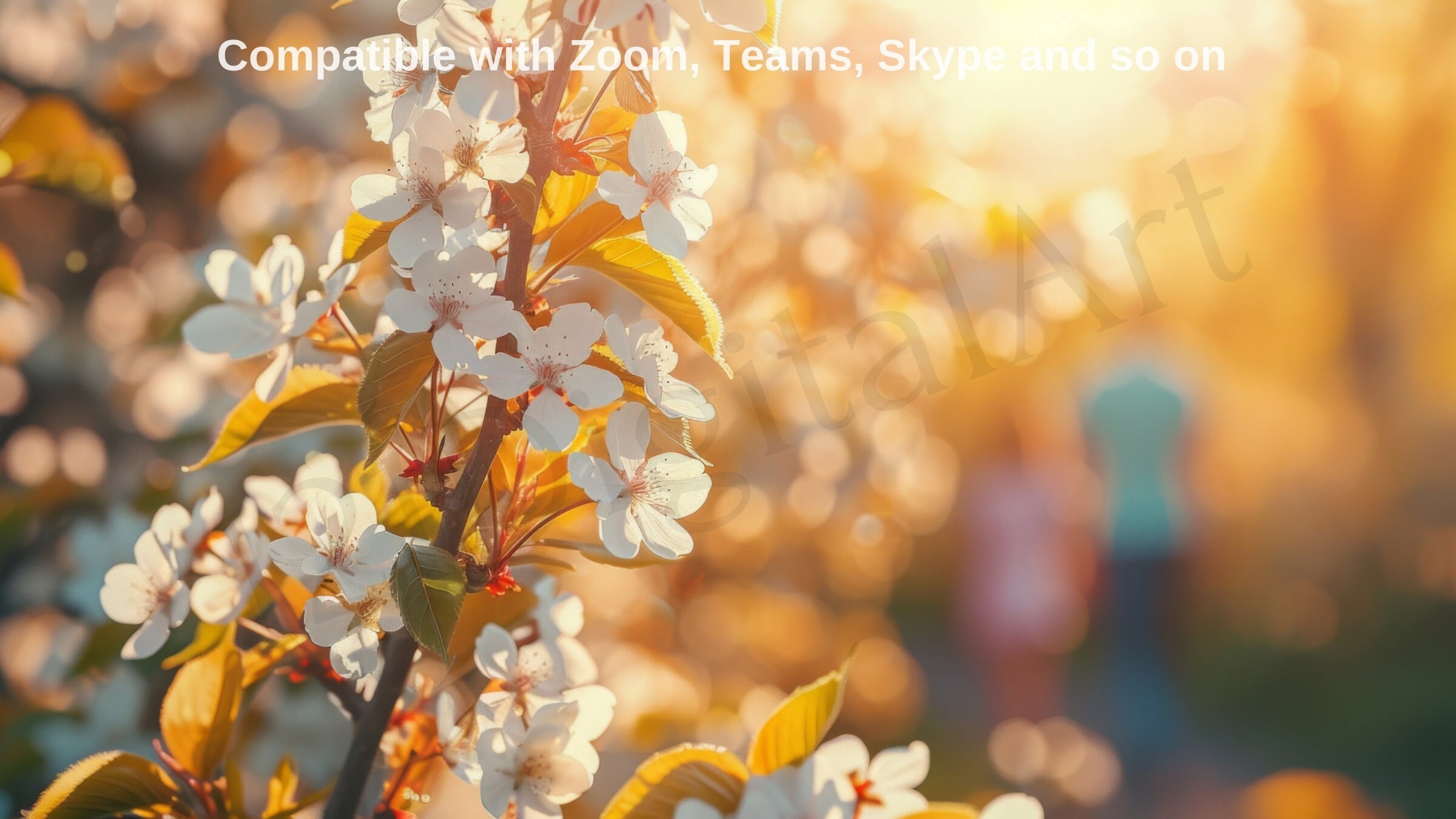 Zoom Background With Cherry Blossom, 12 JPEG Images in High Quality ...