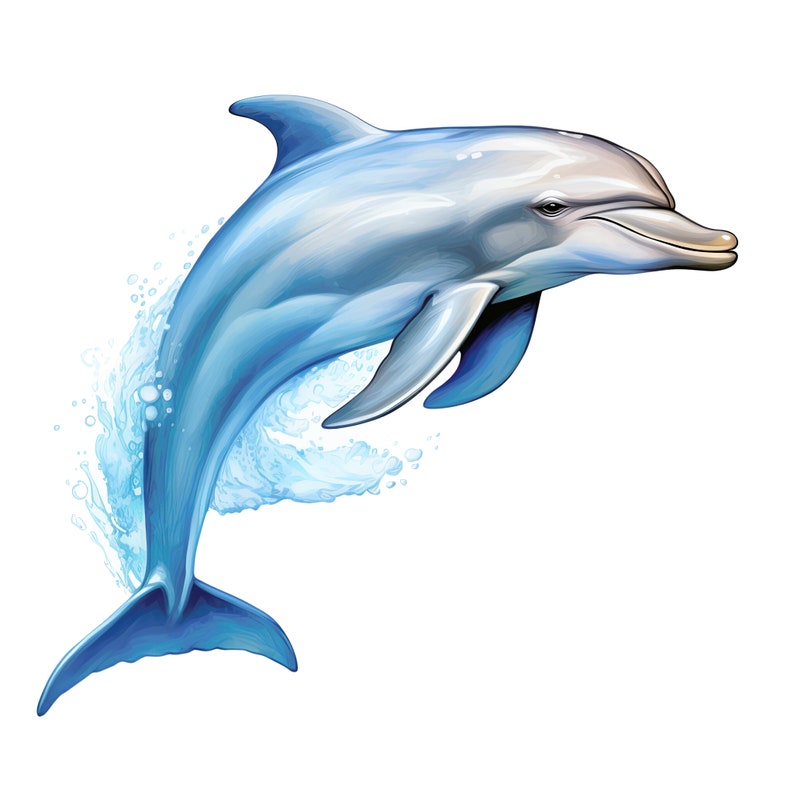 Dolphins Clipart, 18 Digital Images in PNG Format for Illustrations ...