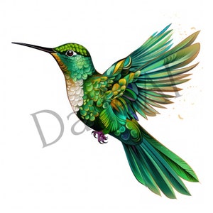 Hummingbird Clipart Set of 23 PNG Images, High Quality Images, Wall Art ...